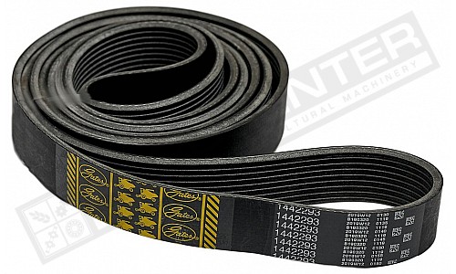 1442293 Belt Gates buy in AGROCENTER Prompt Delivery $ Best Price